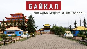 Байкал: Вдохновение после растерянности! Наш лесной подвиг 🌲🌳💦