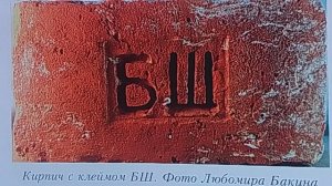 Немецкие шпионы в Ямбургском уезде,