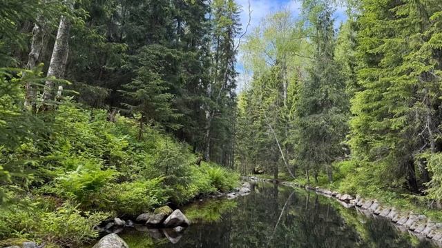 Соловки. Июнь 2025. 2 день