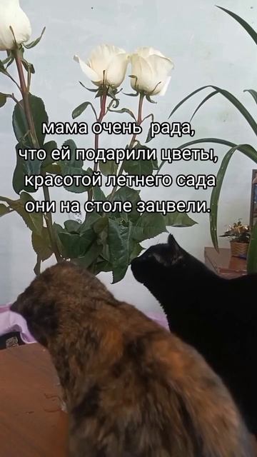 Маме подарили Розы. стихотворение