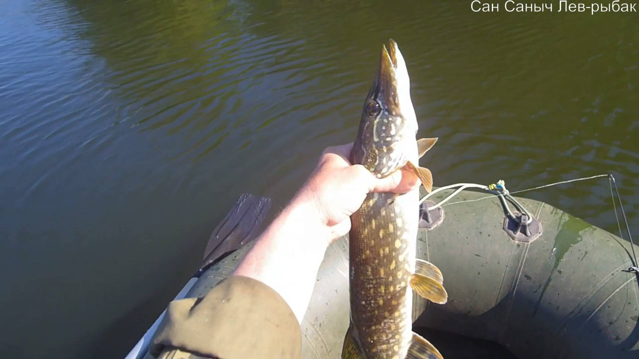 На электромоторе за щукой