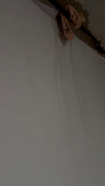 Дождь в лифте новостройки в Воронеже сняли на видео