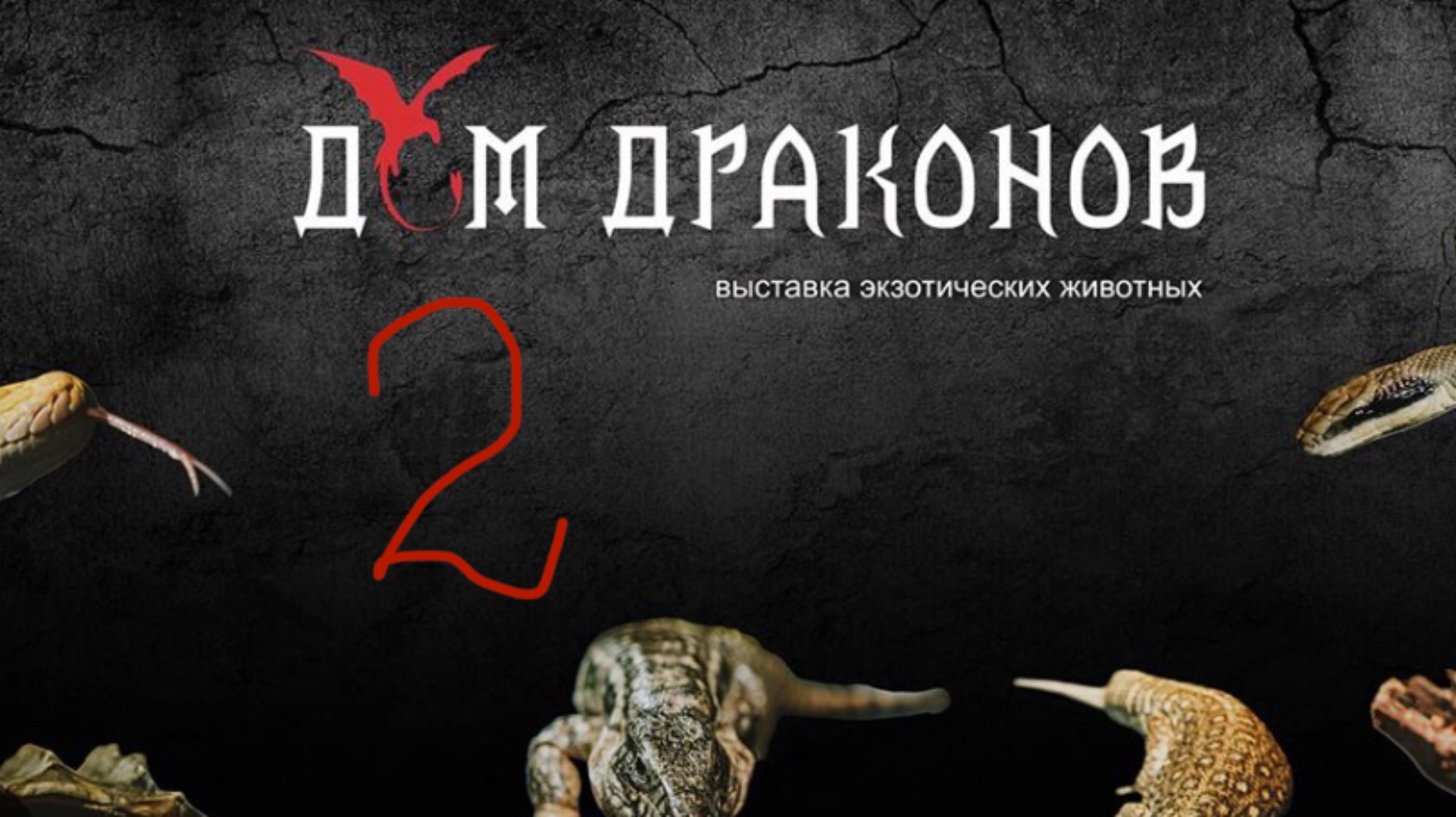 Дом Драконов 2. (1). Экскурсия.