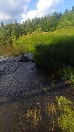 Речка# природа#журчание речки