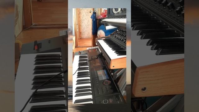 Музыка в два ночи / Music at two in the morning: Roland FA-07, Moog SUB37, Yamaha Montage