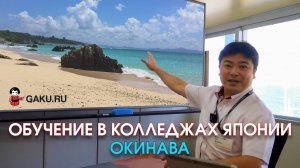 Обучение в колледжах Японии. Окинва!