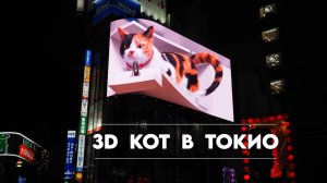 Знаменитый 3D кот в Токио