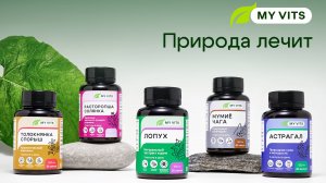 MY VITS — природа лечит!