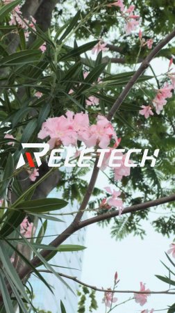 Миниатюрный размер, но крепкий духом — вот он, T1.