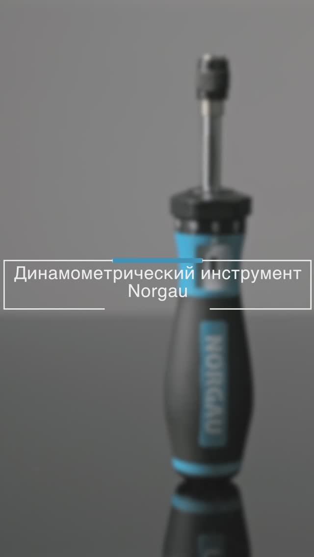 Динамометрический инструмент Norgau