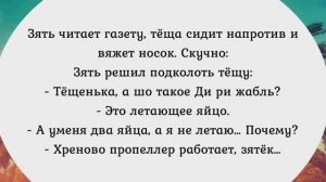 ТЕЩА И ЗЯТЬ, ЭТО ТОЖЕ СЕМЬЯ, НЕ ДАТЬ И НЕ ВЗЯТЬ. Сборник анекдотов №374.