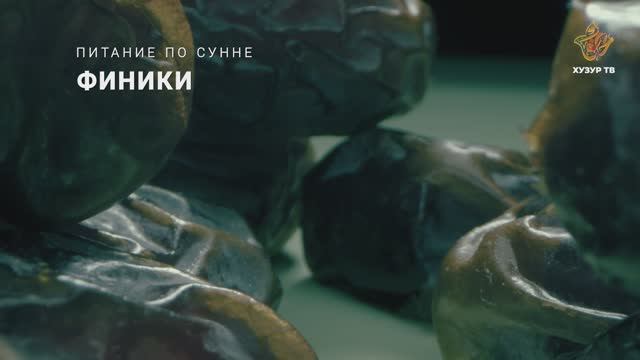 Финики | Питание по сунне