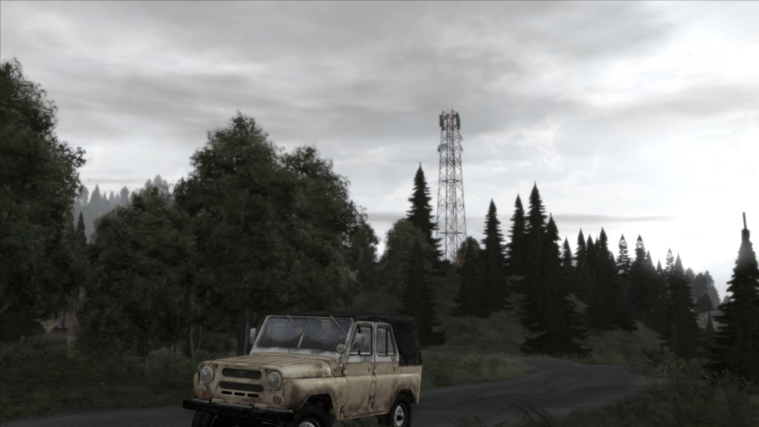 дейз