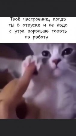 Отпуск