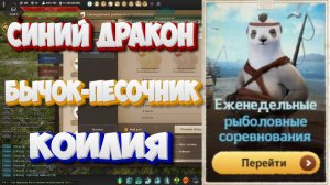 БДО. 21-26.07 2025. КООРДИНАТЫ. Синий дракон, Бычок-песочник, Коилия
