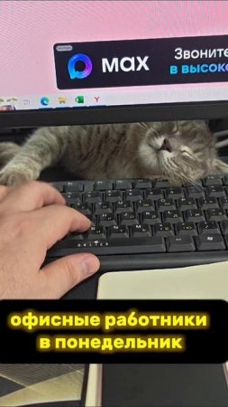 Стрим 🔴 каждый день https://t.me/xBULLDOZERRUSx