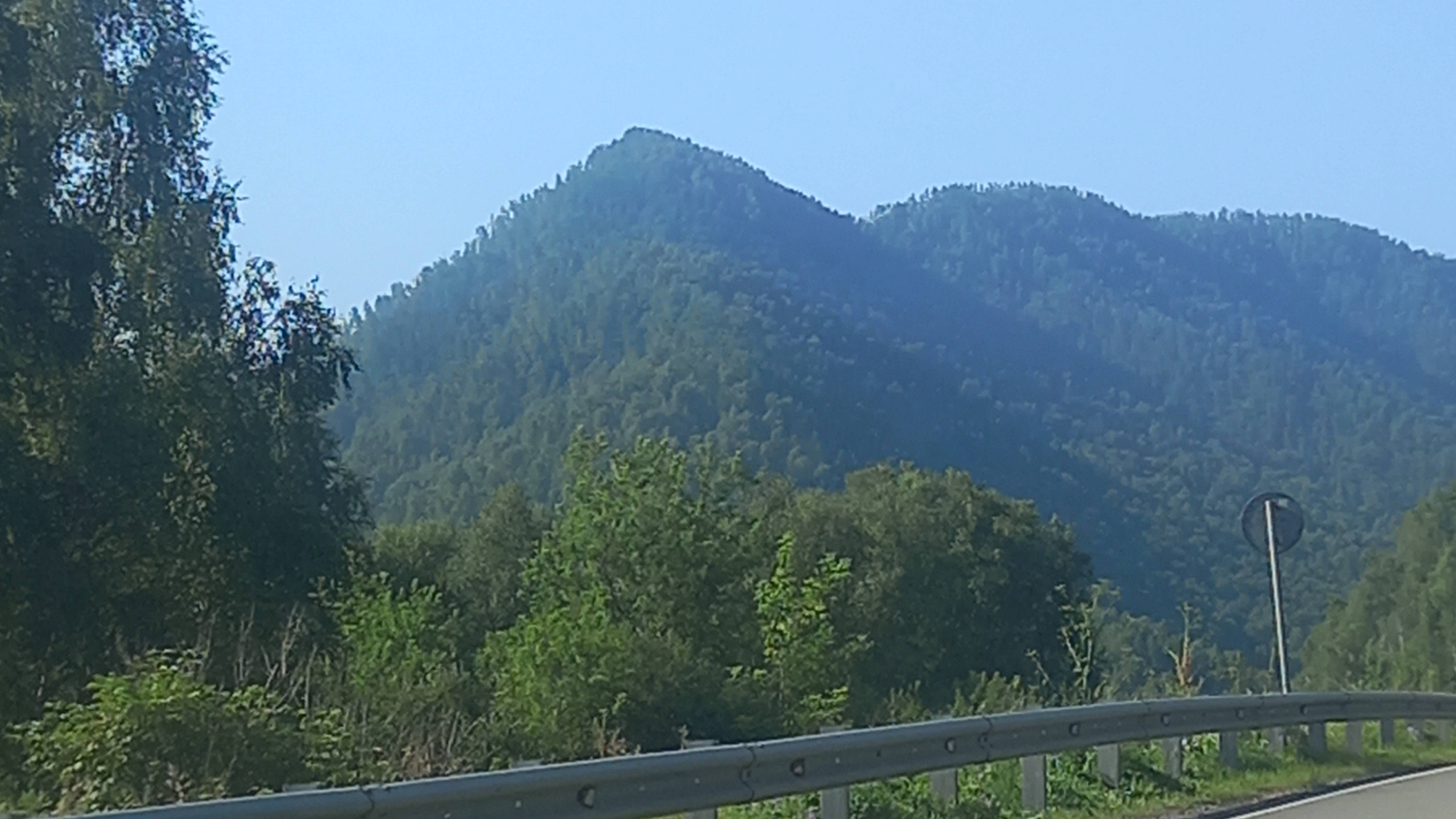 Горный Алтай из окна автомобиля