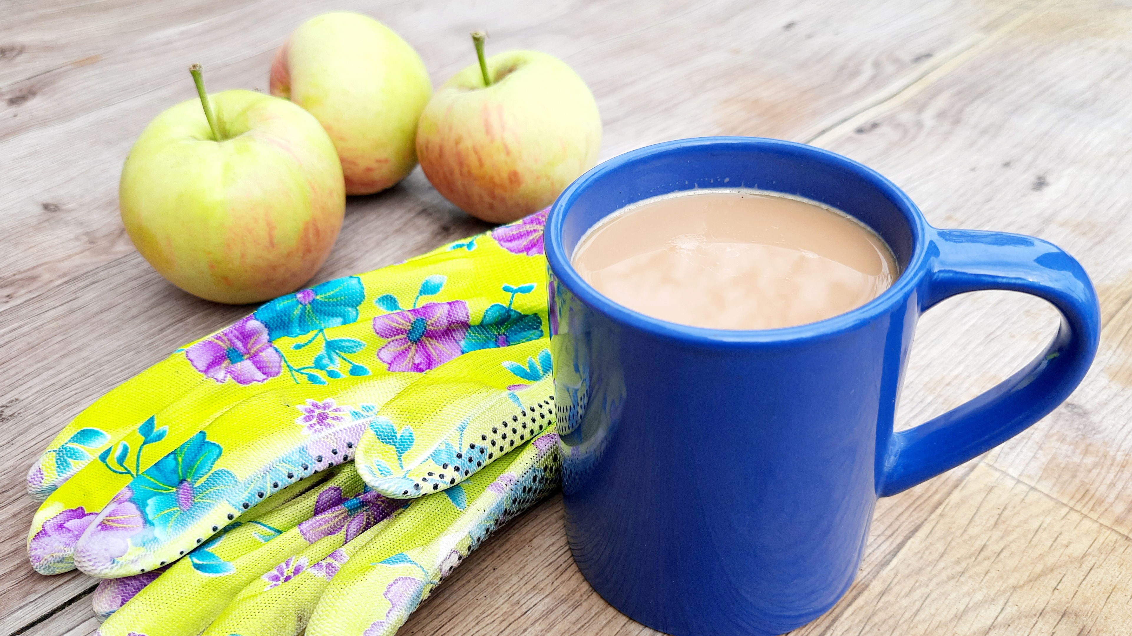 Моя ошибка и безобразие!🍅🧅Скромный урожай!🙄