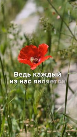 Пойми себя! #психология #мудрость #мотивация #успех #жизнь #счастье #музыка #любовь #сила #радость
