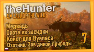 theHunter Call of the Wild/Охотник. Зов дикой природы #7 - Медведя с сорока метров.