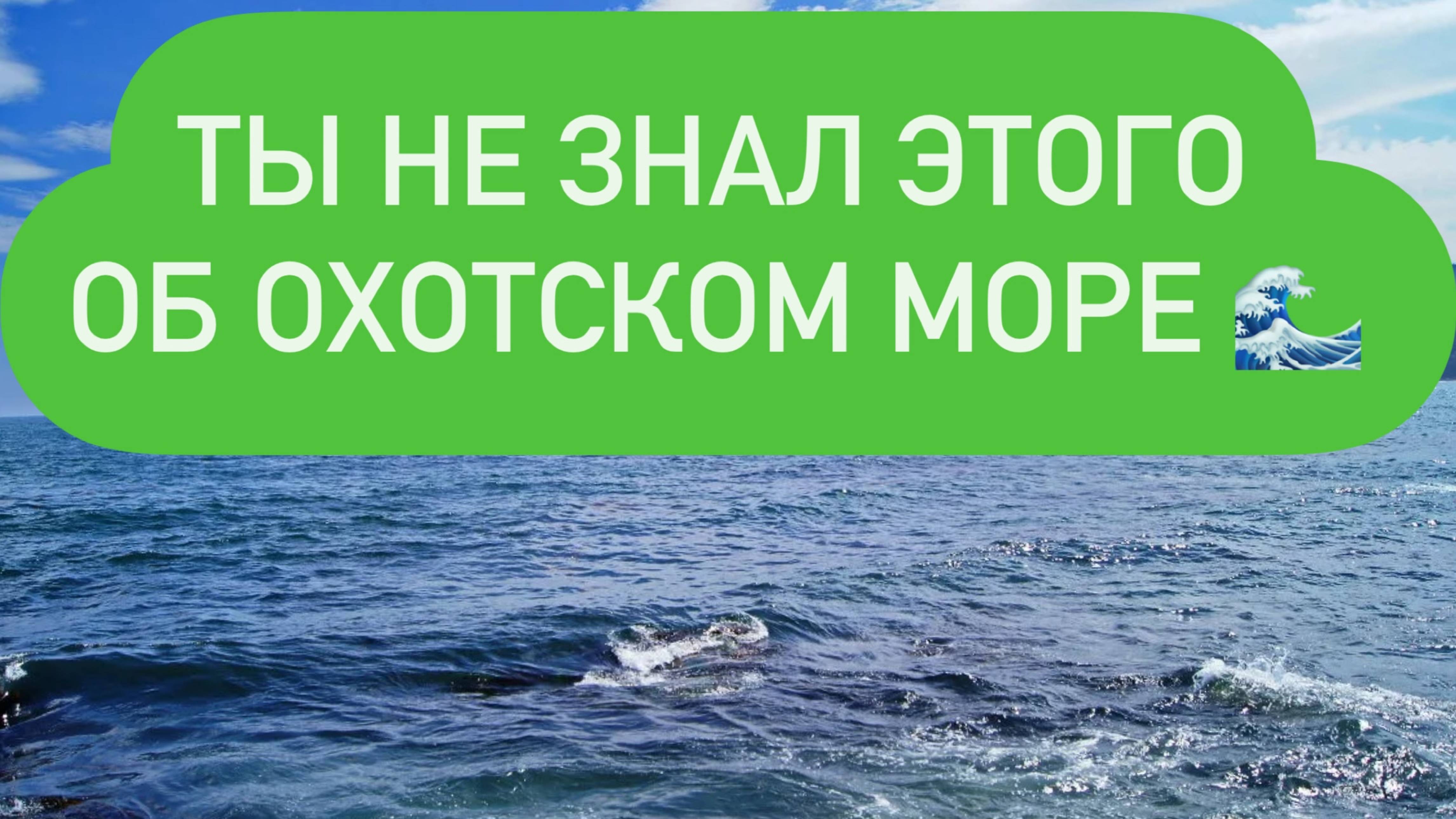 🌍 Охотское море — дикая красота Дальнего Востока | Удивительные факты и природа 🌊