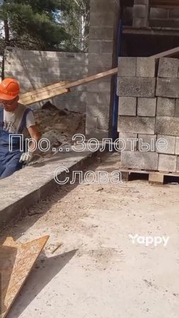 #юмор_на_работе, #смешные_картинки, #детский_юмор, #смешные_видео_с_животными