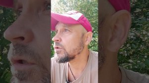 Тупики и выходы. #7. Биоробот (реактивность vs осознанность)