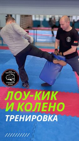 Лоу-кик и удар коленом. Тренировка для самозащиты. Отработка комбинаций ударов