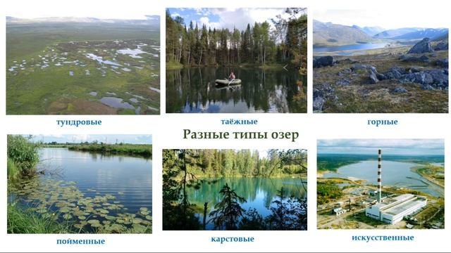Эколекторий "Чистые воды".