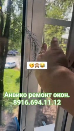 ( Предупреждение) Вот чем опасны москитные сетки.   Ремонт окон. Москва, Подольск, Чехов, Серпухов.