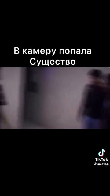 что ты такое