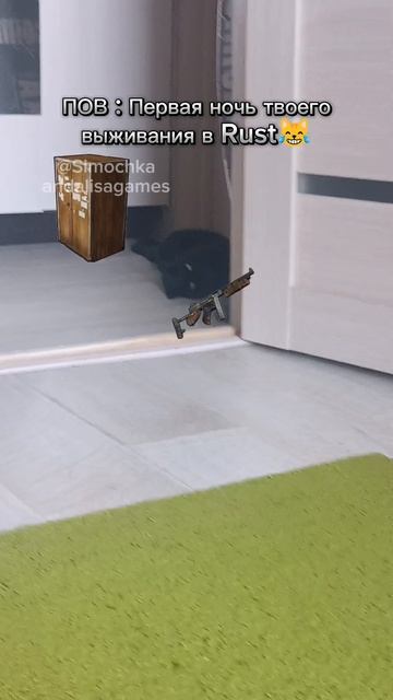 ПОВ : Первая ночь твоего выживания😹 | Симка и Алиса Rutube🎮