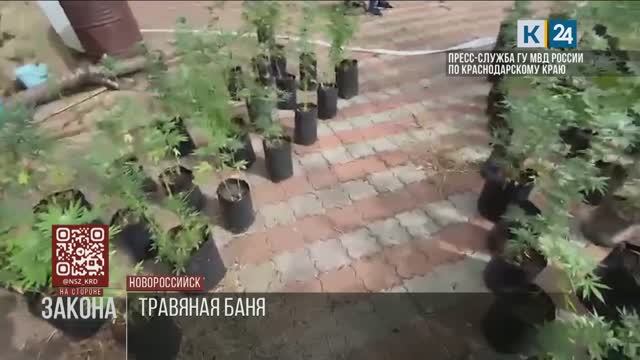 На стороне закона. 22.07.2025