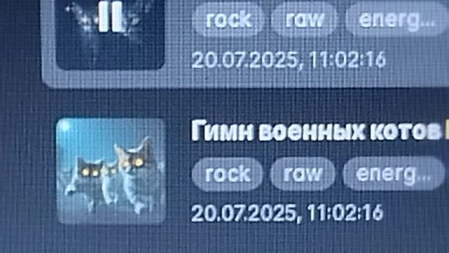 Гимн котов KBR 26