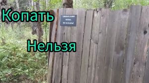 МЕТАЛЛ У "СИБИРСКОЙ ЯЗВЫ" . ОПАСНОЕ МЕСТО НО ВСЕ РАВНО КОПАЮ.