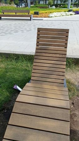 Котик не кусается