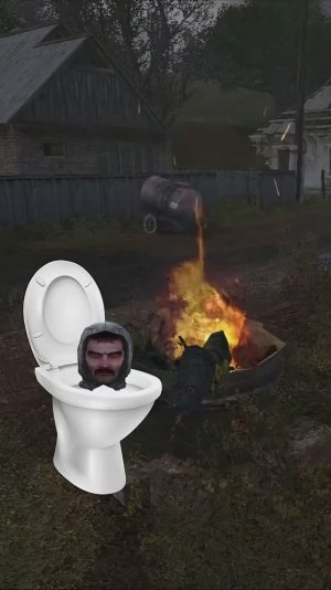 Скибиди Волк в игре STALKER Тень Чернобыля