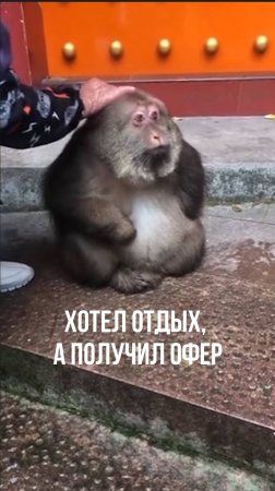 Хотел отдых, а получил офер