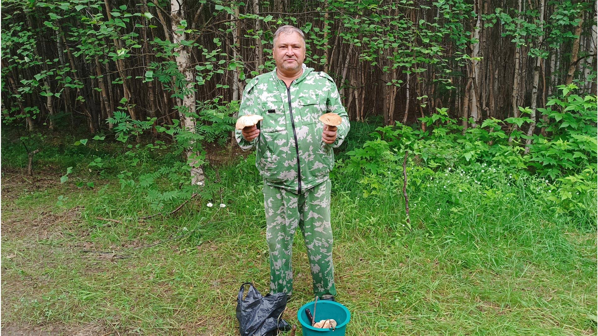 За грибами. Сезон открыт