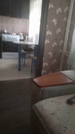 типичное расписание кошки 😅 #рек #кошки #приколы