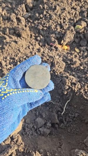 Размер пуговицы просто огромный #видео #metaldetecting #находкисметаллоискателем #история