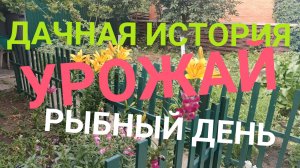 ДАЧНАЯ ИСТОРИЯ ! СОБИРАЕМ УРОЖАЙ! РЫБНЫЙ ДЕНЬ!
