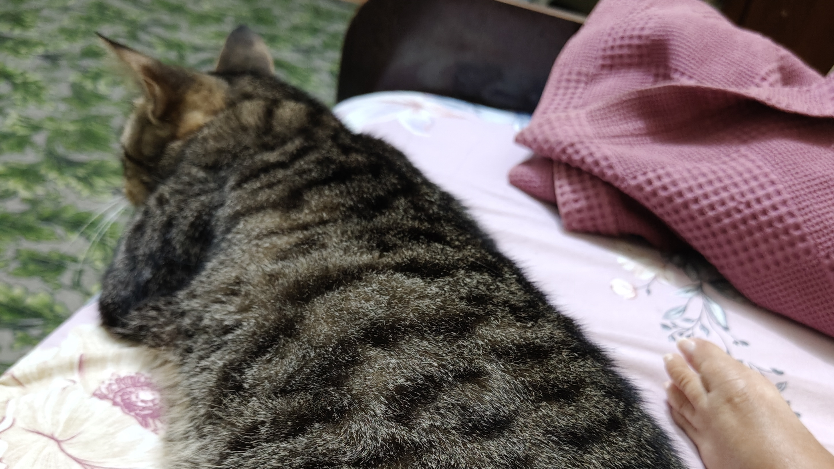 Прятки
