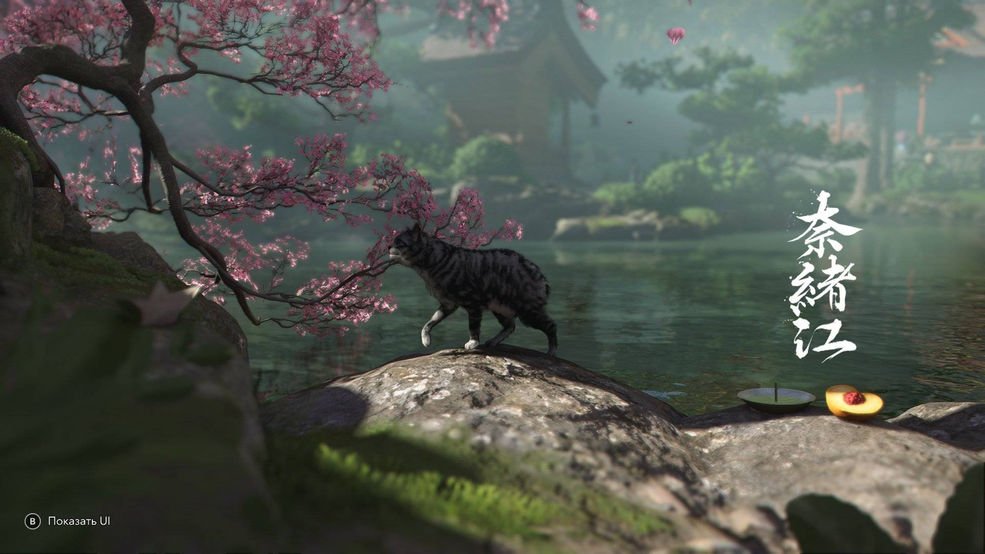 Assassin's Creed Shadows Исследуем