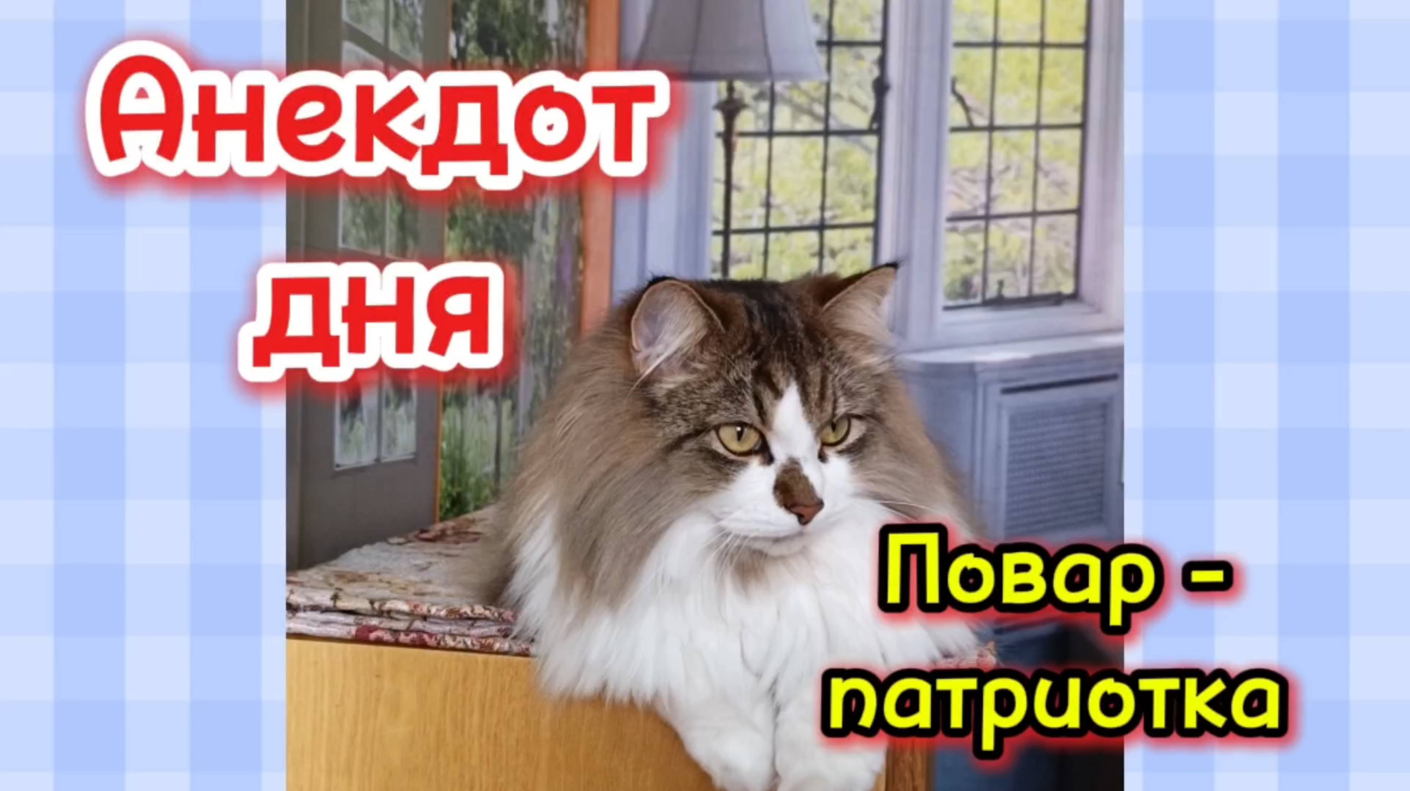 Анекдот дня.