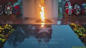 Играю на гуслях в память защитникам Отечества. Город Богородск, 2025.07.22. Светлозар Чукотский