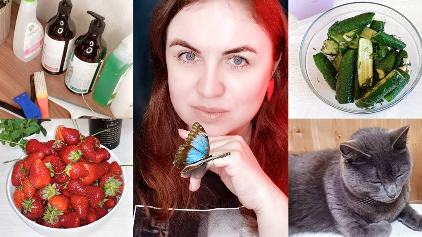 Домашний влог, Готовлю куриные кексы, Покупки для уборки дома.