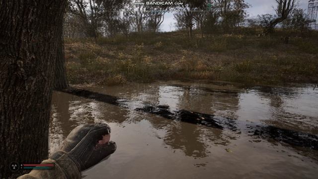 S.T.A.L.K.E.R. 2 -Аномалия Бульба