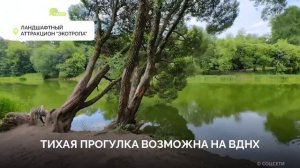 Куда сходить в Москве?