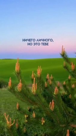 #длятебя